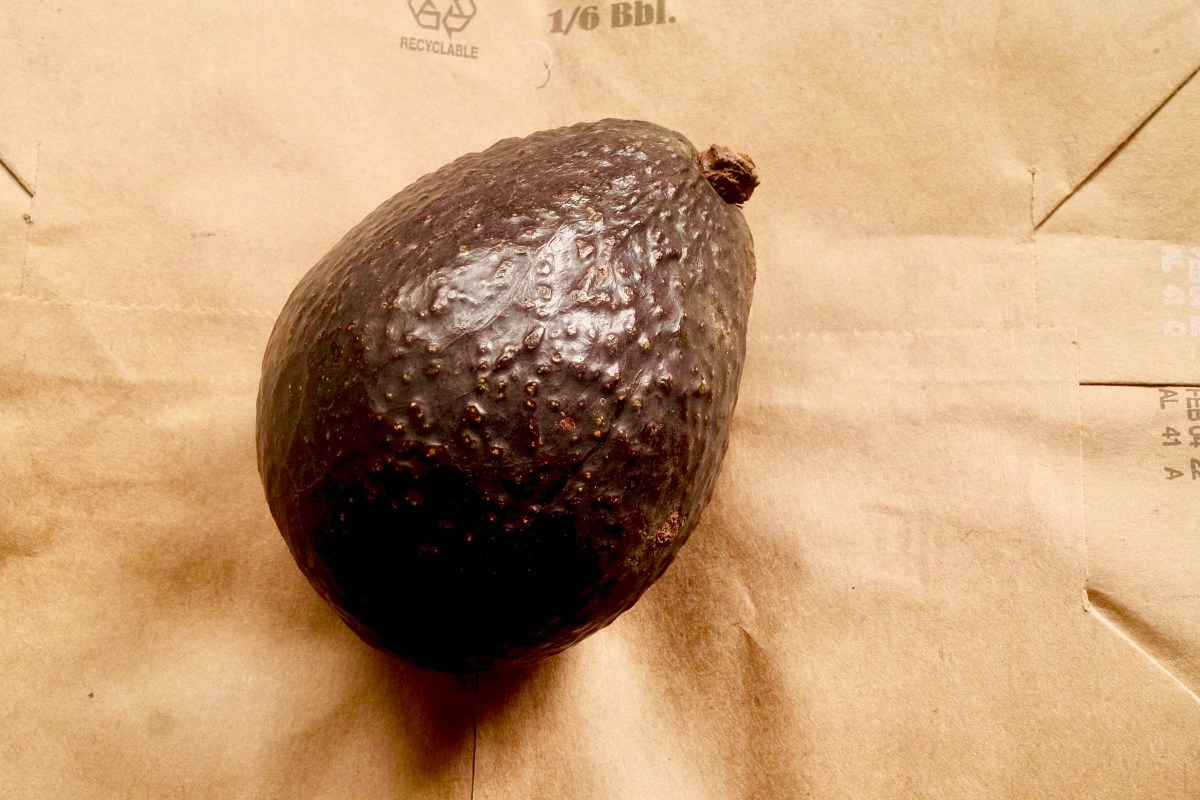 Why do we eat? Why personification? Why Avocado? – Sila Blume